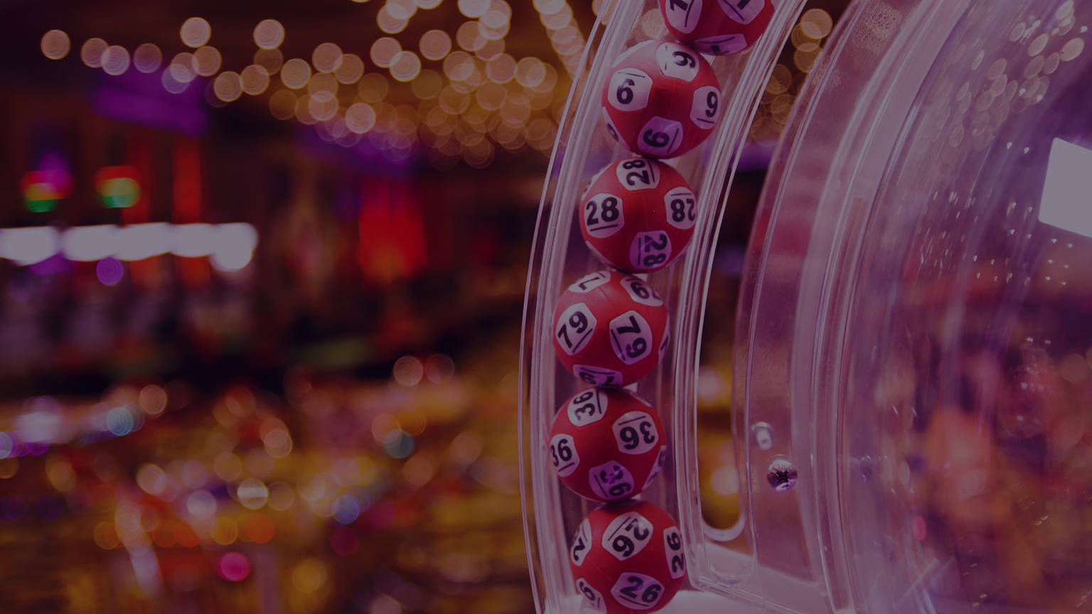 How to Play Stand-Up Bingo | Pink Casino